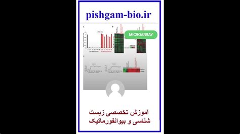 microarrayآموزش آنالیز داده های میکرواری youtube