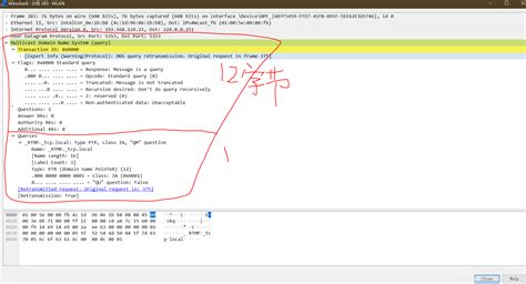 qt 编写简单的dns解析与mdns qt mdns csdn博客
