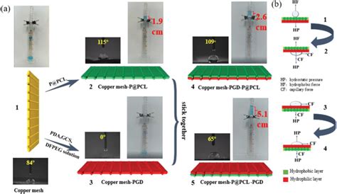 A Construction And Characterization Of The Proposed Janus Membrane On