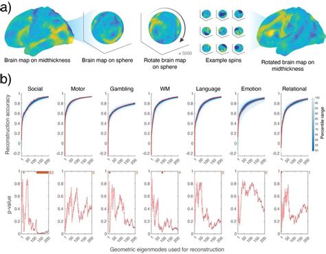 Using Surface Based Geometric Eigenmodes To Explain Randomized 170 Download Scientific Diagram