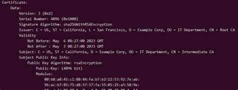 Openssl Create Certificate Chain Root And Intermediate Ca Golinuxcloud