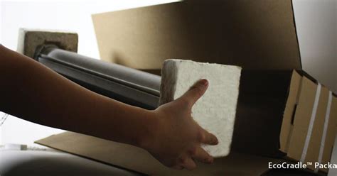 Mushrooms The New Styrofoam Alternative
