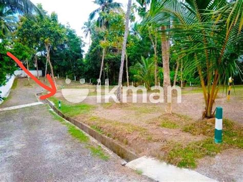 කඩවතට නුදුරින් බිම්කොටසක් විකිණීමට Ikman