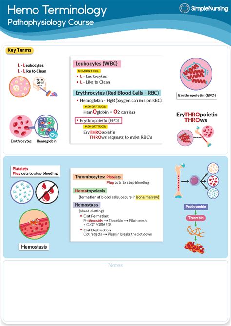 Hematologic Disorders Hemo Terminology Pathophysiology Course Notes L