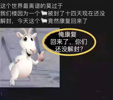 高伐林 On Twitter 转贴—— 03xqxobdb2 Twitter