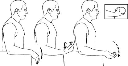 Wrist Flexion Eccentric Elbow Flexed