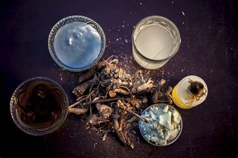 原始的阿育吠陀草药 Chitrak Plumbago zeylanica 根位于棕色闪亮的表面上带有一些酪乳酥油或澄清黄油其提取物凝乳