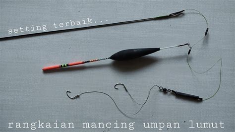CARA BUAT RANGKAIAN MANCING UMPAN LUMUT DAN KAIL PANCING YANG COCOK