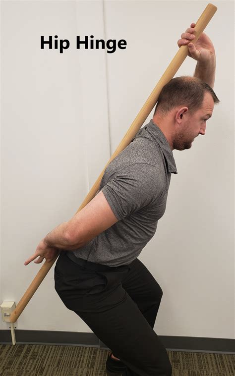 Hip Hinge An Essential Movement Cascade Chiropractic And Wellness