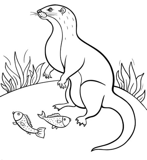 Laukiniai Gyvūnai Spalvinimui 🐒 Pepelt