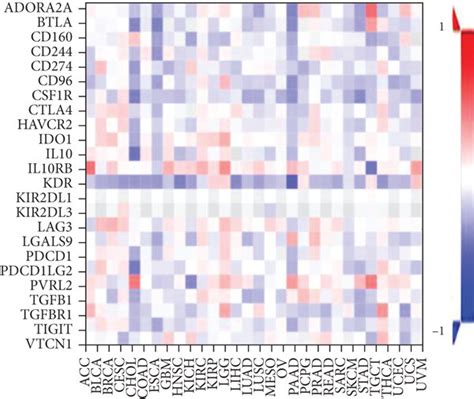 Relationship Between Cks1b And Tumor Immune Infiltration A And B
