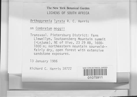 Collaborative Manuscript Transcription Detecting Handwriting In Ocr Text