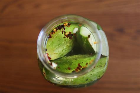 Easy Fermented Dill Pickle Recipe Quick And Crunchy Sprig And Spoon