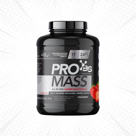 Basic Supplements Pro Mass Gainer Kreatin Rs