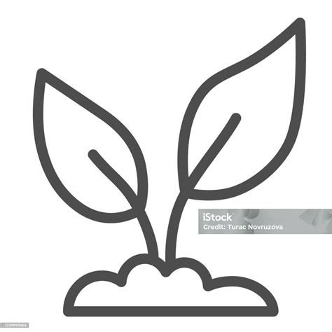 토양 선 아이콘 생태 개념 흰색 배경에 두 개의 잎 기호가있는 작은 새싹 모바일 개념 및 웹 디자인을위한 윤곽 스타일의 모종