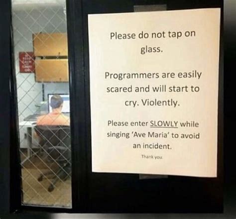 Ah Yes This Is How A Programmer Should Be Treated R ProgrammerHumor