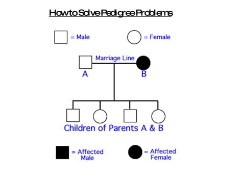 Multiple Alleles Sickle Cell Evolution Pedigrees And Sex Linkage Ppt