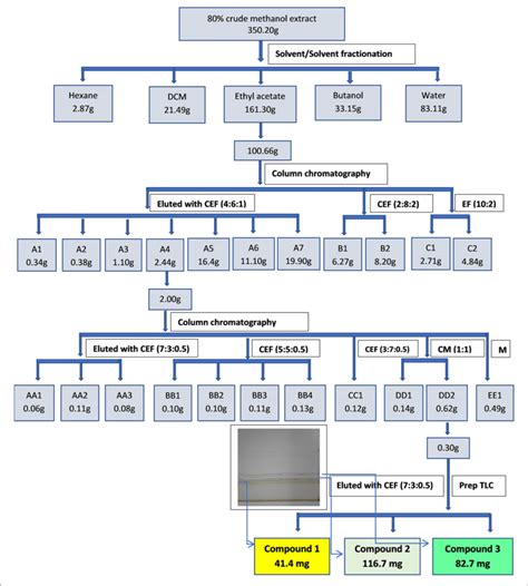 Extraction Fractionation And Isolation Of Bioactive Compounds From