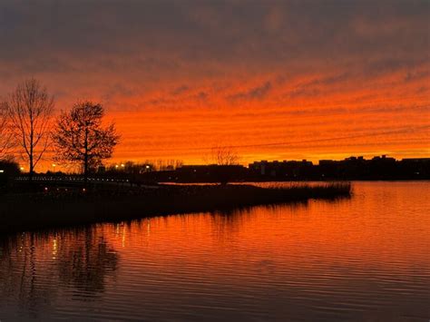 Alexandra Birleanu On Linkedin I Feel That My Career As It Is Is Coming To An End Unlike Other