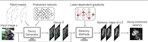 Figure 1 From Robust Saliency Maps With Decoy Enhanced Saliency Score