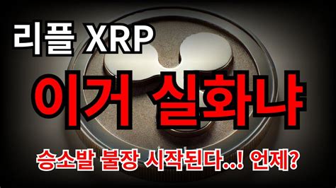 리플 Xrp 이게 실화면 진짜 진정한 불장 시작된다 언제 내일 Youtube