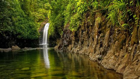 Nature Monsoon Water Trees Wainibau Falls Rocks Forest Plants
