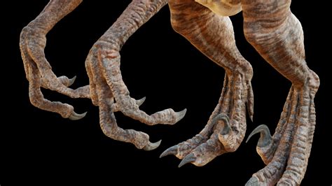 Realistic Raptor D Model TurboSquid