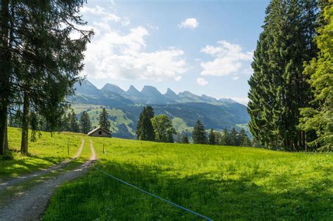 Grillplatz Churfirstenblick Wildhaus Ferienregion Toggenburg