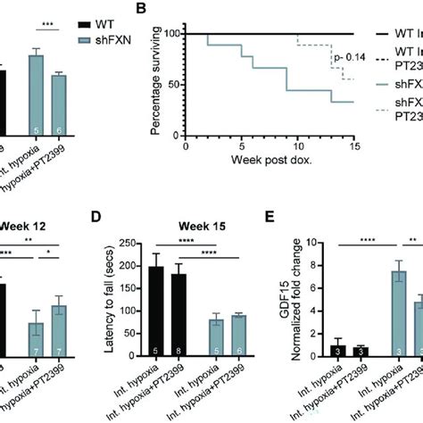 Blunting The Polycythemic Response Prevents The Detrimental Effects Of