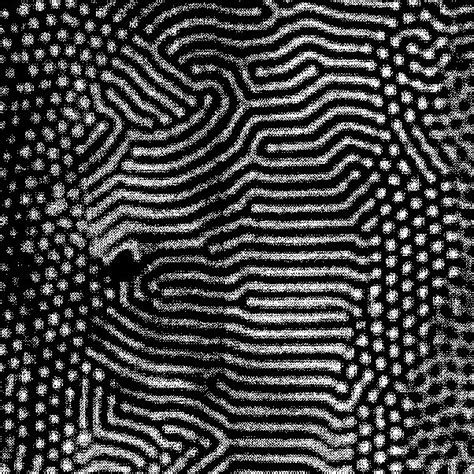 Pdf Reactiondiffusion Patterns In Confined Chemical Systems