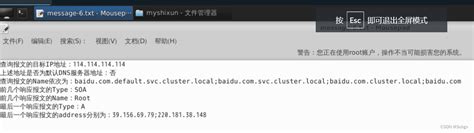 dns协议分析【头歌】 双击打开桌面上的工作区文件夹 workspace 下的实训文件夹 myshixun 中的项目文件 csdn博客