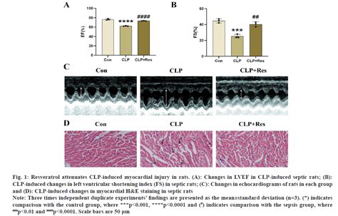 Resveratrol Inhibits Mitochondrial Apoptotic Response In Septic