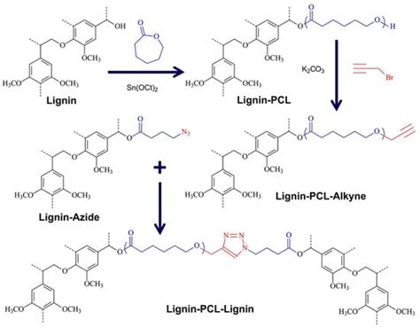 Lignin Biopolymers In The Age Of Controlled Polymerization