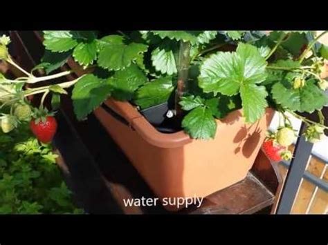 NRF24L01 MySensors Arduino Balcony EasyIoT Server Irrigation Controller
