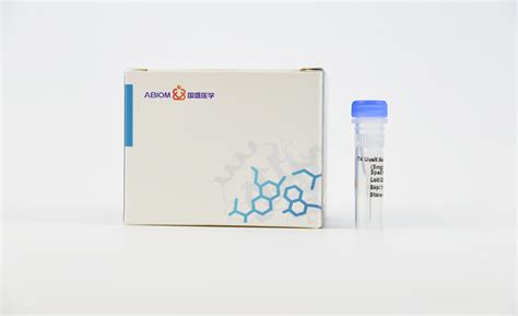 T4 Uvsx Recombinase Isothermal Amplification China T4 Uvsx