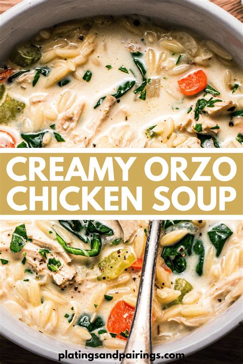 Creamy Chicken Orzo Soup Platings Pairings