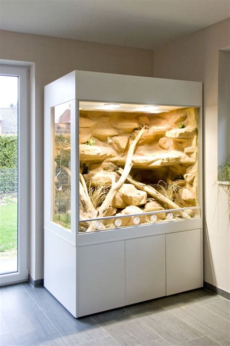 Wüsten Terrarium für einen Angola Python Terrarium Reptilien
