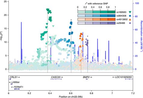 Conditionally Independent Association Signals At The Bmp2 Download Scientific Diagram