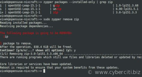 Linux Uninstall Package Software Using The Cli Nixcraft