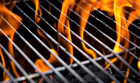 The Danger Of A Seared Conscience Living Waters