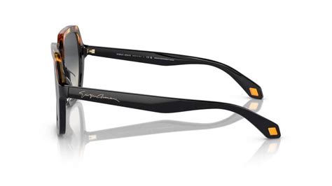 Lunettes de soleil Giorgio Armani AR8193U 5875 19 55 17 Écaille en