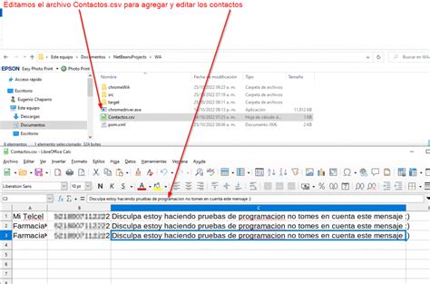Programador Novato