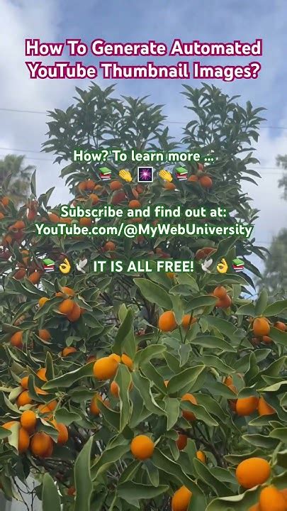 create beautiful youtube thumbnail images using my python automated