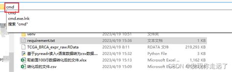 【python】读取rdata类型数据转为csv Excel格式文件， 无需安装r语言基于pyreadrpandas实现数据分析（保姆级注释