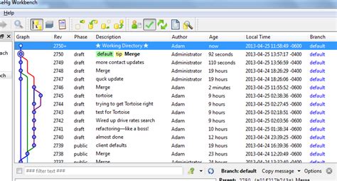 Mercurial Tortoisehg Phases Are Wrong Stack Overflow