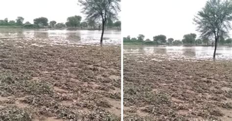 मोरेल नदी से सटे गांवों के खेतों में पहुंचा पानी पानी से खेत हुए