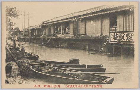 〔明治四十三年八月東京大洪水〕向島小梅町ノ浸水 Tomuco Tokyo Museum Collection