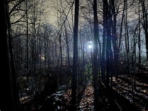 The Boys Season 5 Set Photos Reveal Disturbing Freedom Camps In
