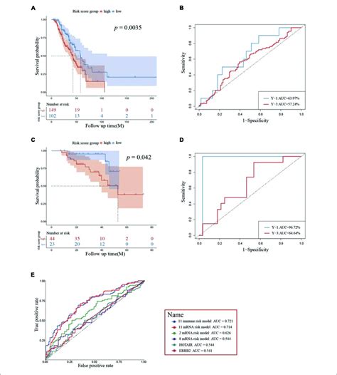 Assessment Of Prognostic Capacity Using The Two External Cohorts