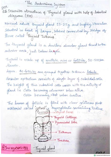 Solution Endocrine System What Is It Functions Organs Full Notes